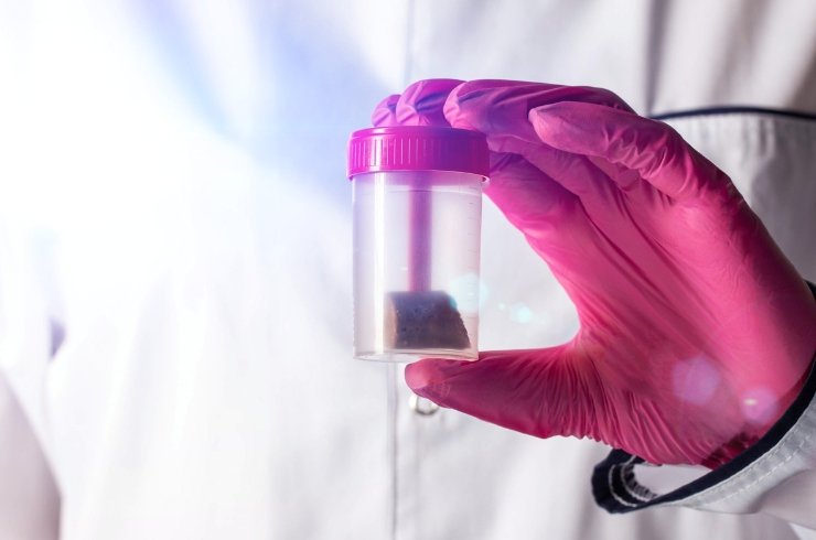 Home - Krishna Diagnostics